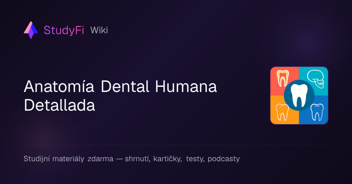 Anatomía Dental Humana Detallada para Estudiantes | StudyFi
